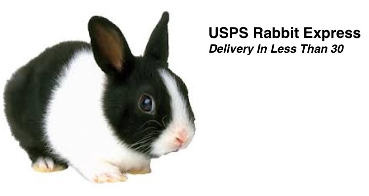 USPS’ ANSWER TO AMAZON’S DRONE DELIVERY: ‘RABBIT EXPRESS’ | The Adobo ...