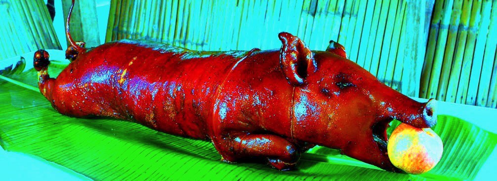 CALIFORNIA RANCHERS DISCOVER PIG WITH FLUORESCENT BLUE FAT, FILAMS ...
