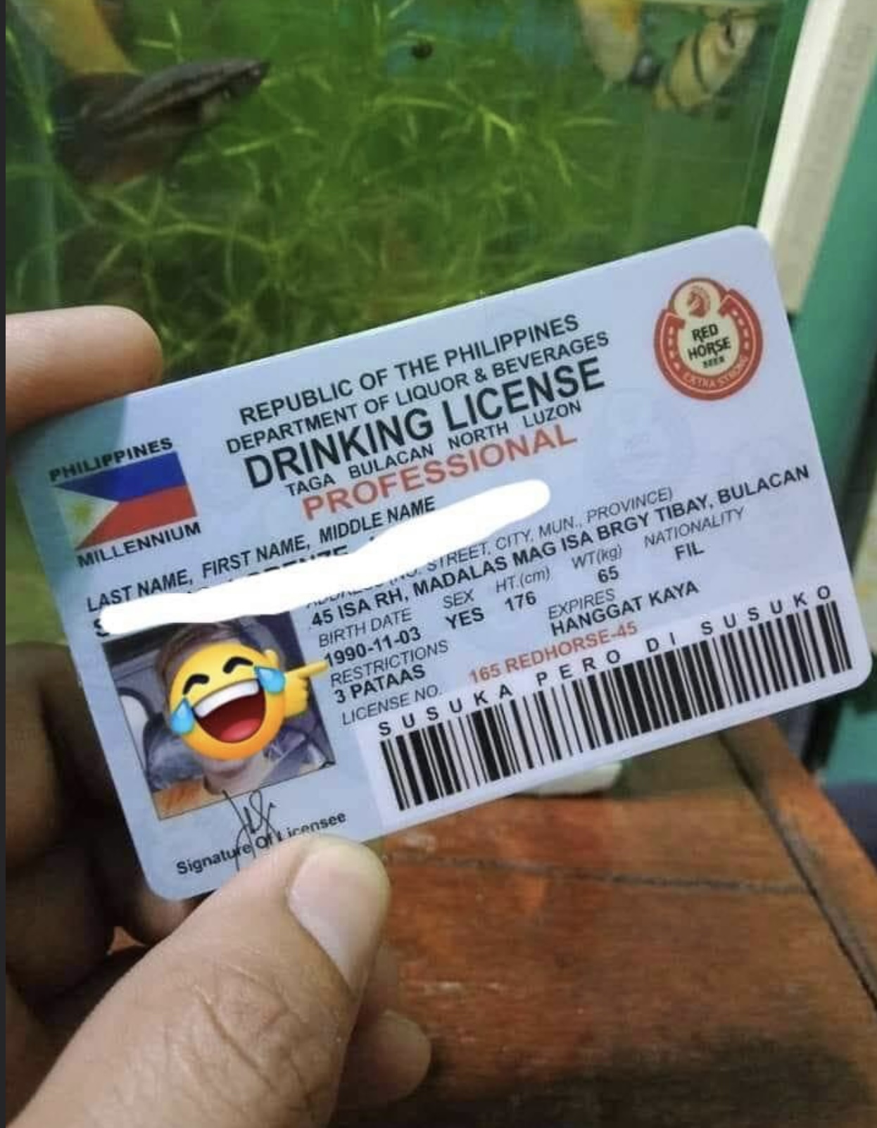 QUEZON CITY EYES TO ROLL OUT CITIZEN ID, DRINKING LICENSE | The Adobo ...