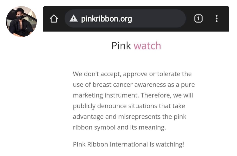Leni Robredo Campaign In Big Trouble Over The Color Pink! | The Adobo ...