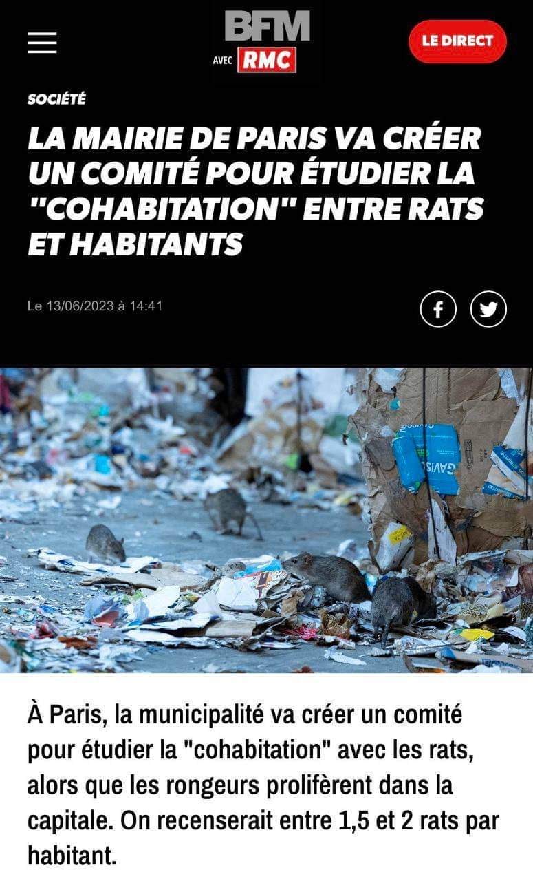PALEOANTHROPOLOGY: Humans May Have Descended From Rats! | The Adobo ...