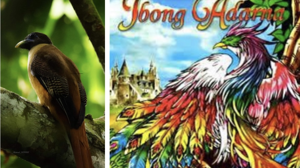 ‘Ibong Adarna’ Spotted In Mount Apo An Impostor! | The Adobo Chronicles