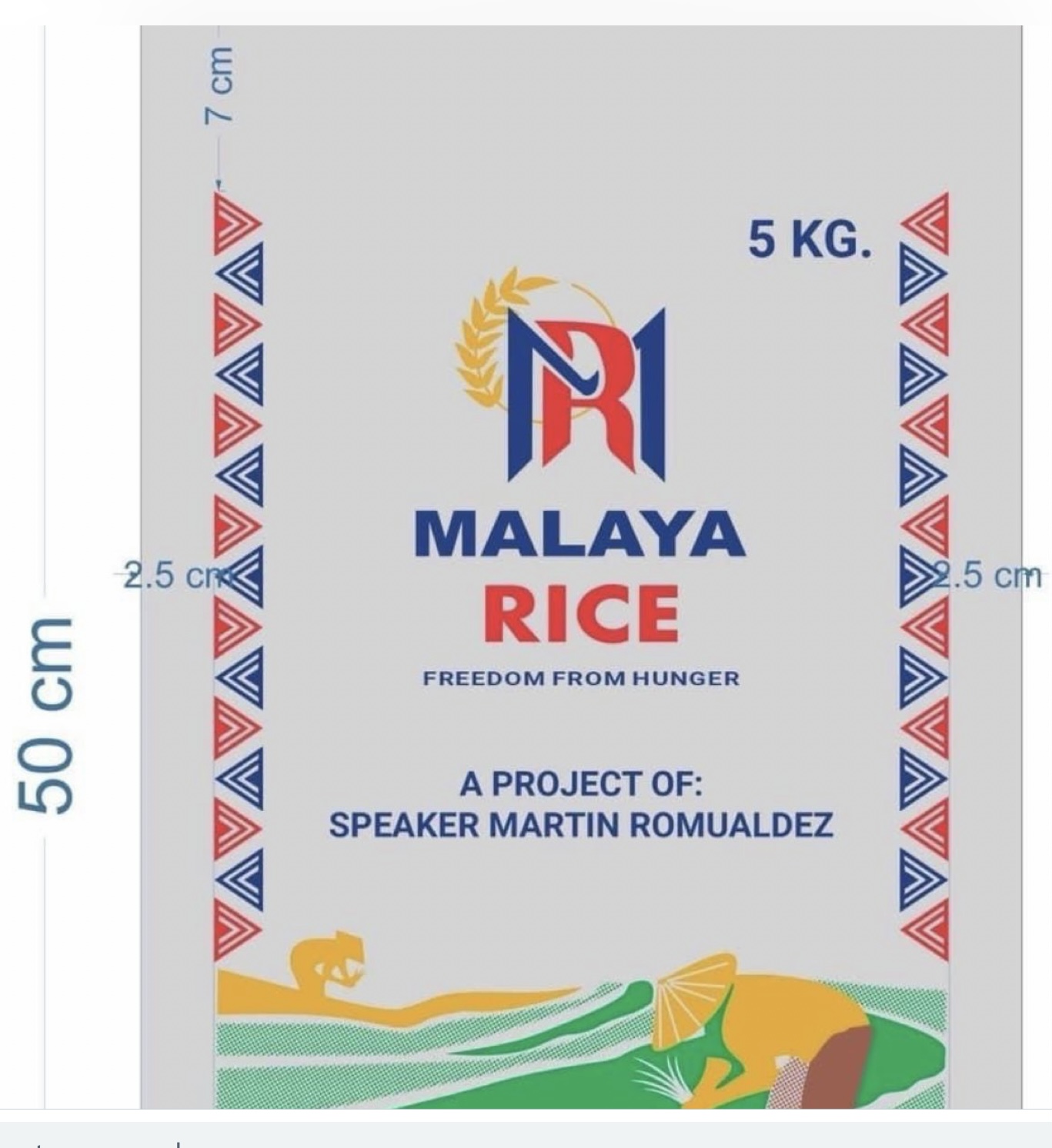 Many Questions On Speaker Martin Romualdez’ ‘Malaya Rice Project’ | The ...