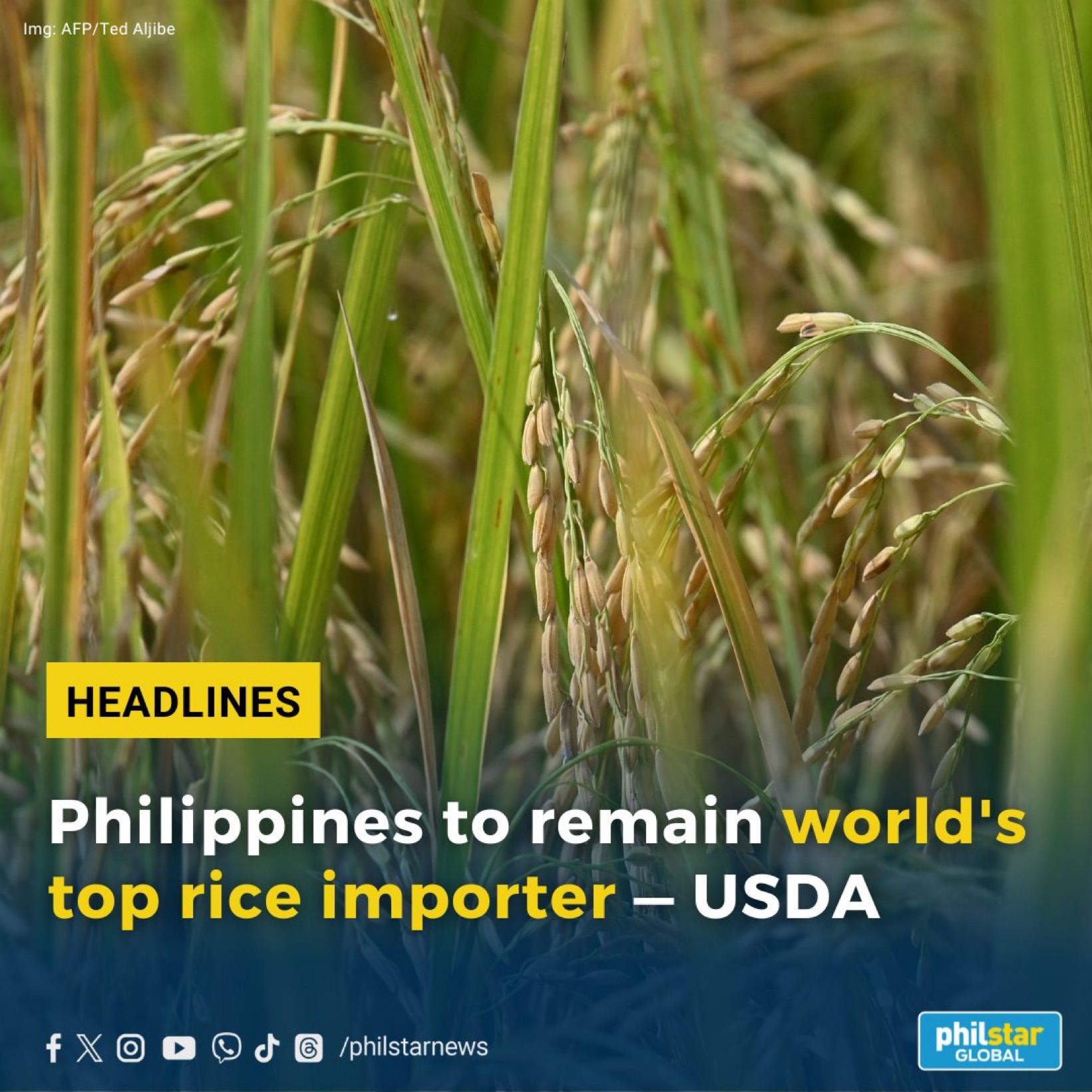 Rice Is Never Mentioned In “Bahay Kubo” | The Adobo Chronicles